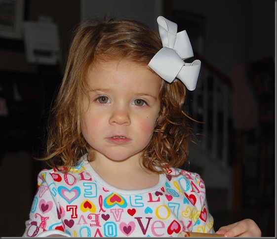 The Gauger Family: Life with a 28 Month Old